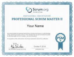 An Overview of the PSM™ Certification Training Course - Mind Setters