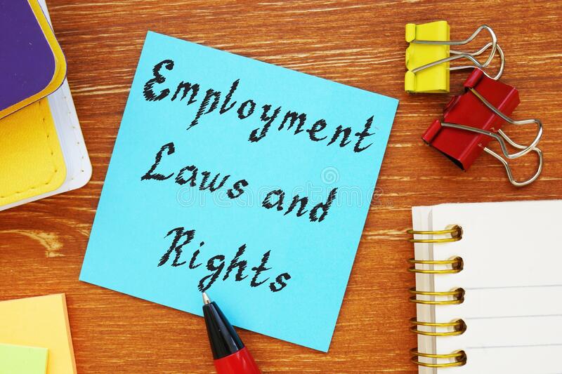 Employment Rights Explained – Everything You Need to Know - Mind Setters
