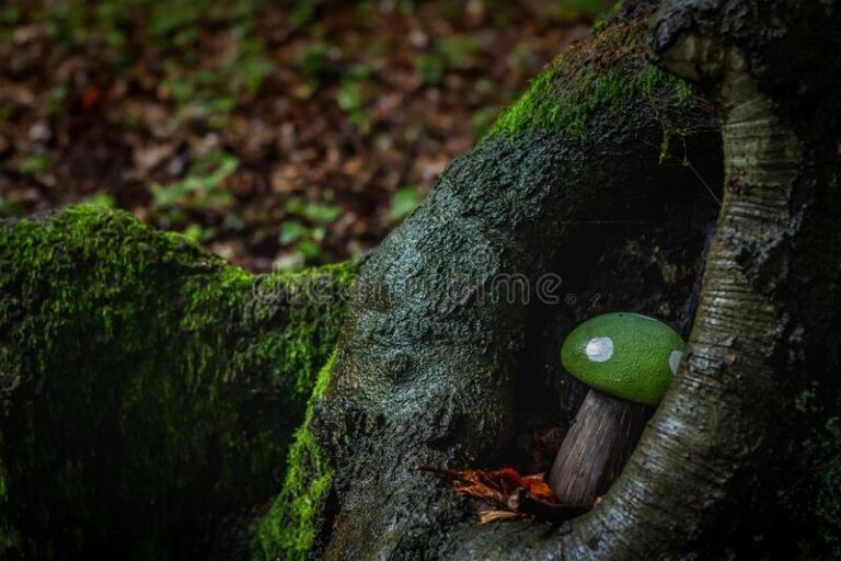 10 Non Green Plants Names & Their Importance | Mind Setters