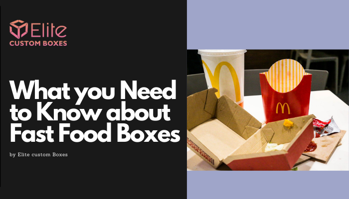 What you Need to Know about Fast Food Boxes | Mind Setters