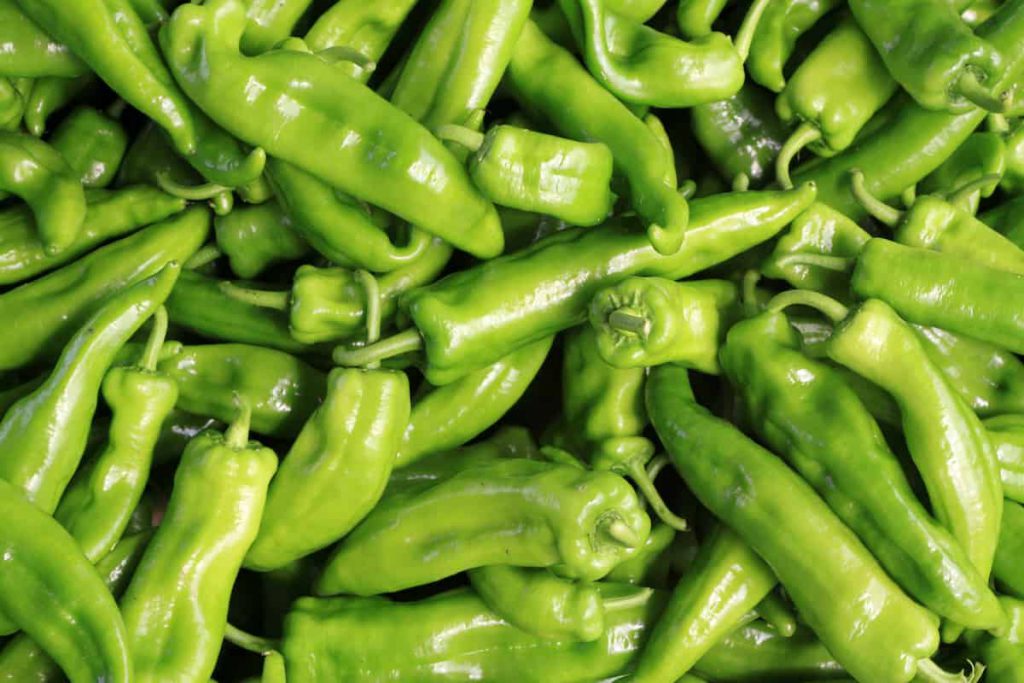 7 Types Of Mexican Green Peppers | Mind Setters