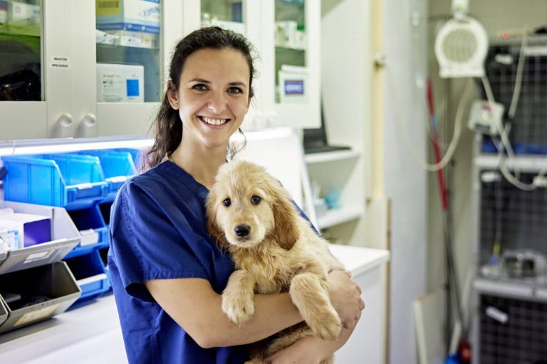 5 Essential Responsibilities Of Every Vet Tech - Mind Setters
