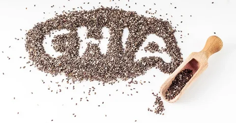 10 Surprising Ways Chia Seeds Boost Your Health
